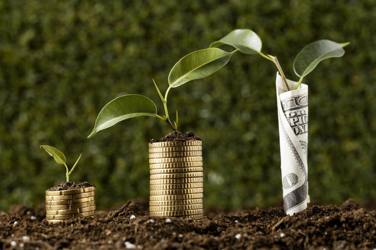 Aplicación de los Principios ASG en los Fondos de Inversión – SAFI